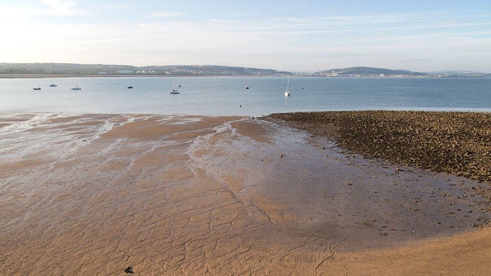Skate park on Mumbles seafront backed - BBC News