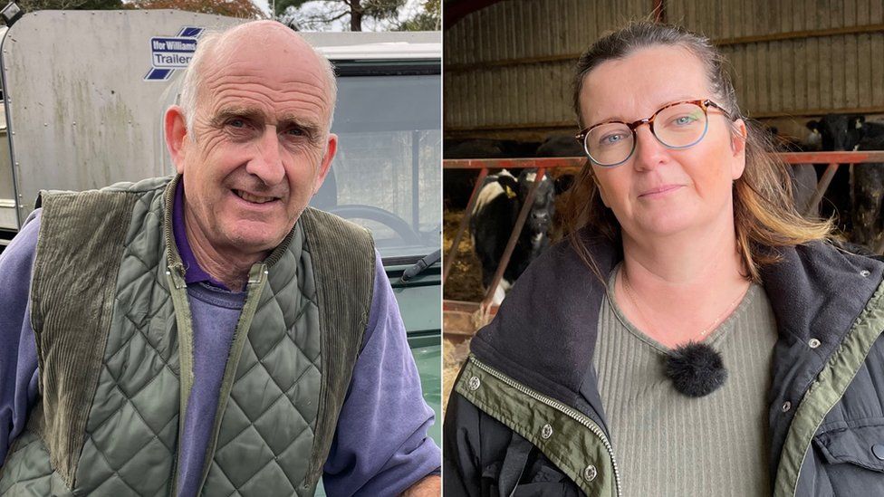 Apêl yn dilyn dwyn gwartheg o fferm ar Ynys Môn - BBC Cymru Fyw