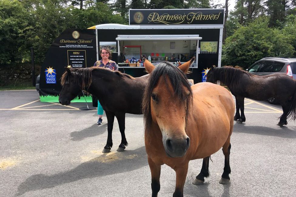 Touring 21st-Century Devon with a pre-war guidebook - BBC News