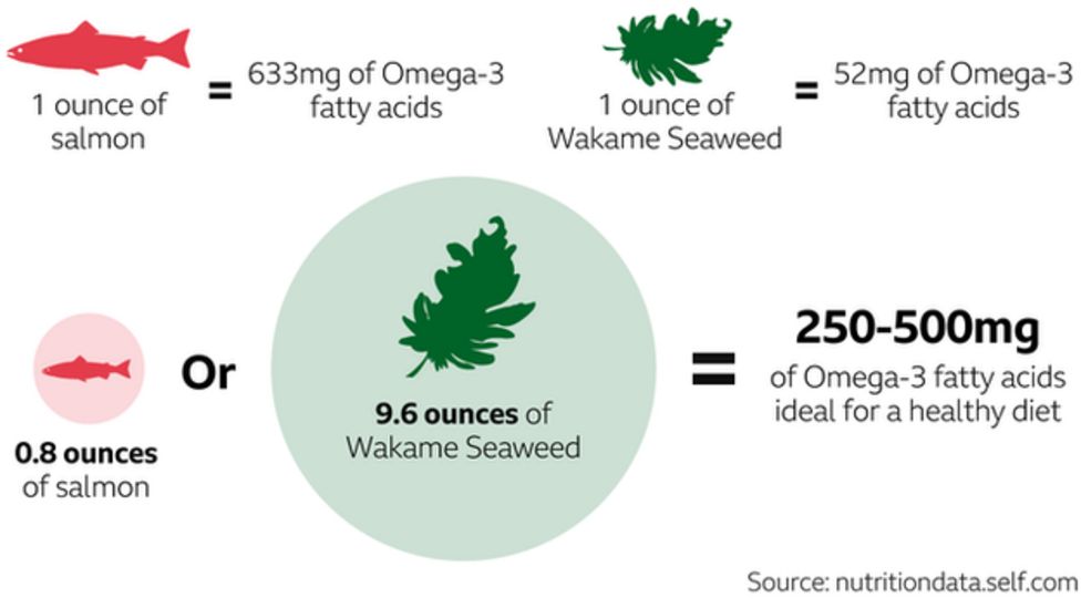 Lewis Hamilton: Could a vegan diet hamper his 'racing edge'? - BBC Sport