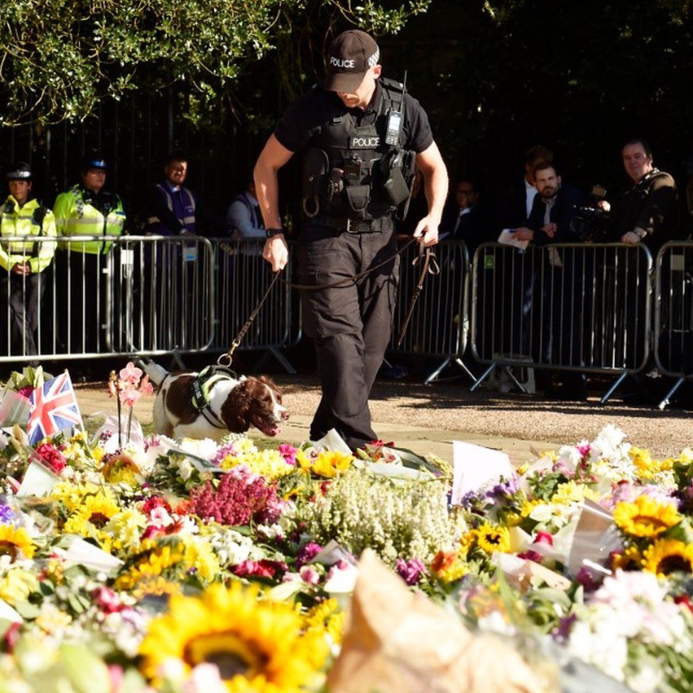 Queen Elizabeth II: 'Largest ever operation' to police Windsor Castle ...