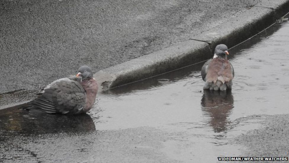 Gallery: Wet, windy weather - BBC Weather
