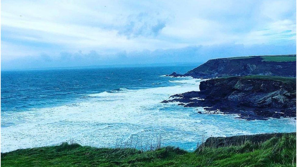 Dogs rescued from cliff fall at Watergate Bay, Cornwall - BBC News