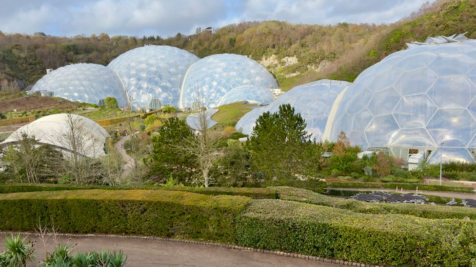 Eden Project: The lessons taught from a rainforest - BBC Newsround