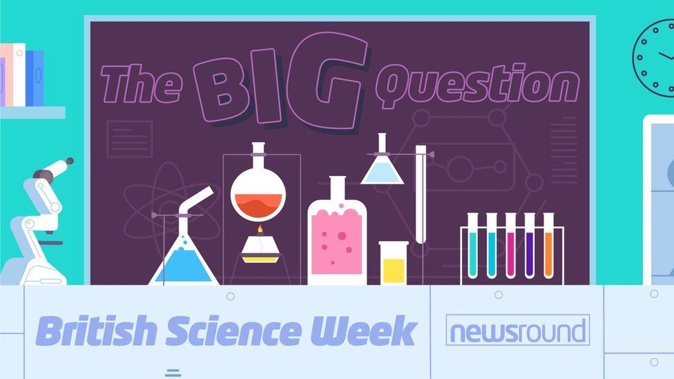 The Big Question: Send us your questions for British Science Week ...