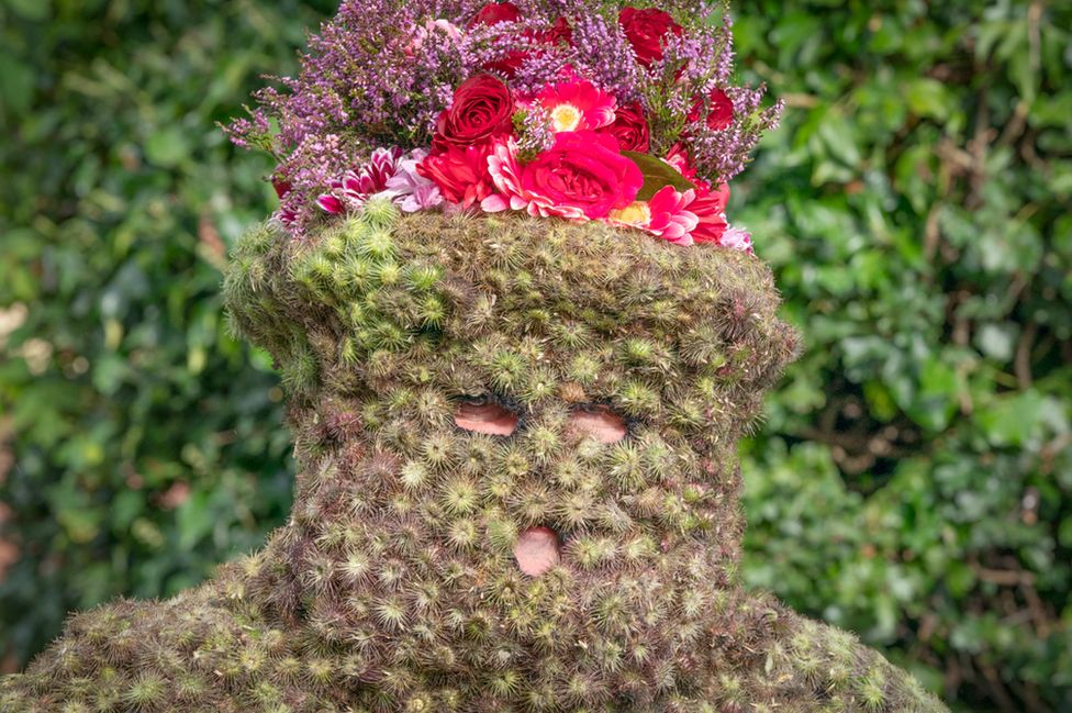 'Hip hip hooray, it's the Burryman's Day' - BBC News