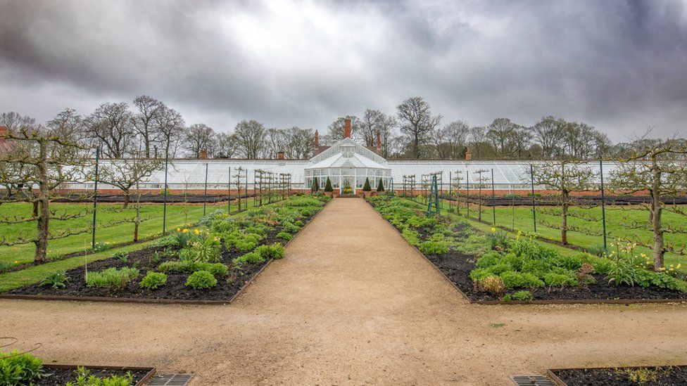 Clumber Park: Historic glasshouse reopens after £250k restoration - BBC ...