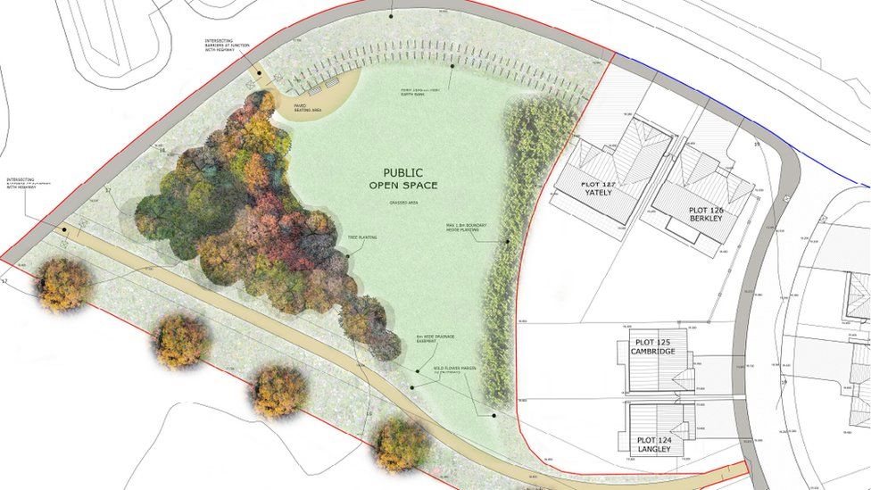 Plans for micro forest as part of Ramsey housing project - BBC News