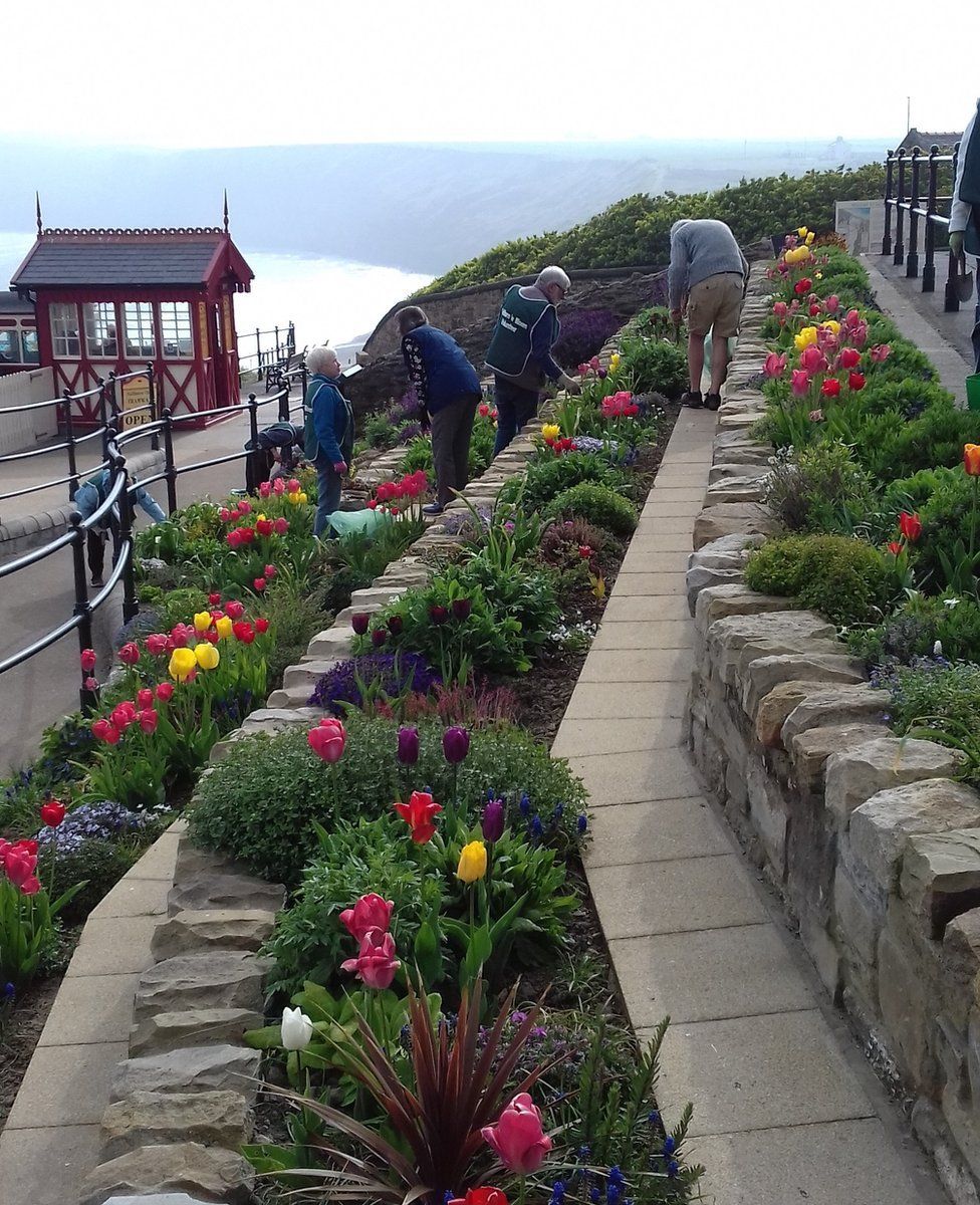 In pictures: North East blossoms in Britain in Bloom - BBC News