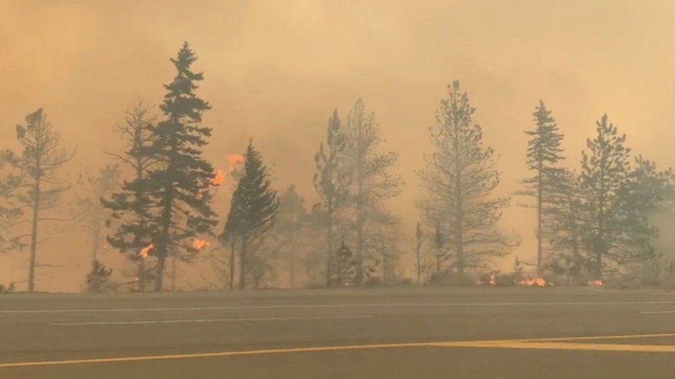 Canada heatwave: Lightning causes wildfires in Canada - BBC Newsround
