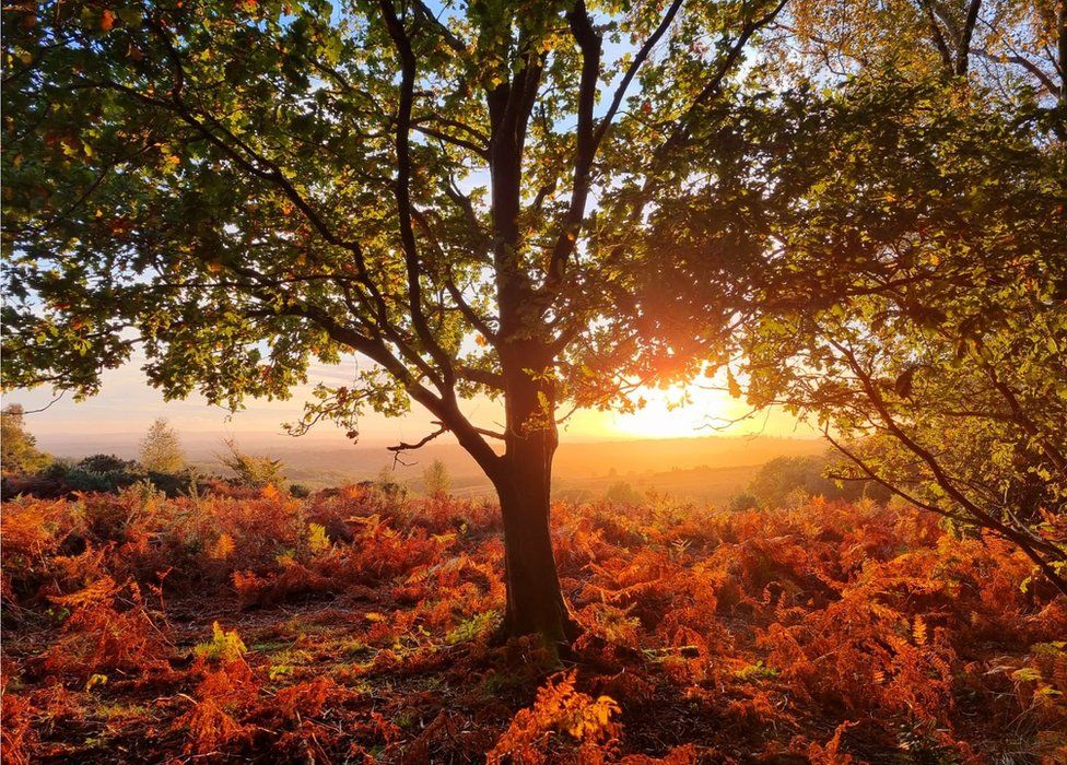 England's Big Picture: 31 October - 6 November 2022 - BBC News