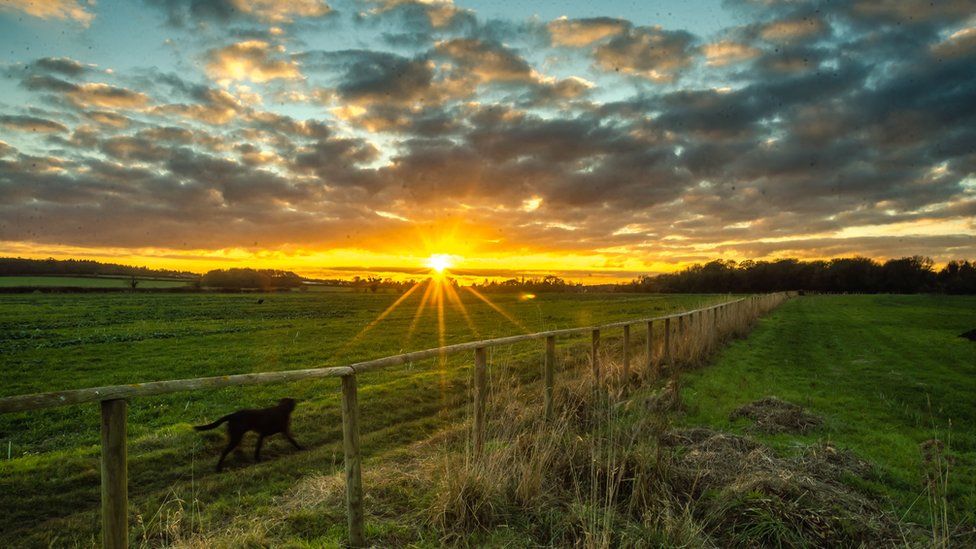 Oxfordshire's Big Picture - BBC News