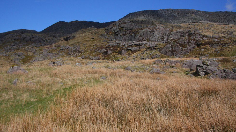 Darganfod mynydd newydd ‘unigryw’ mewn chwarel yn Eryri - BBC Cymru Fyw