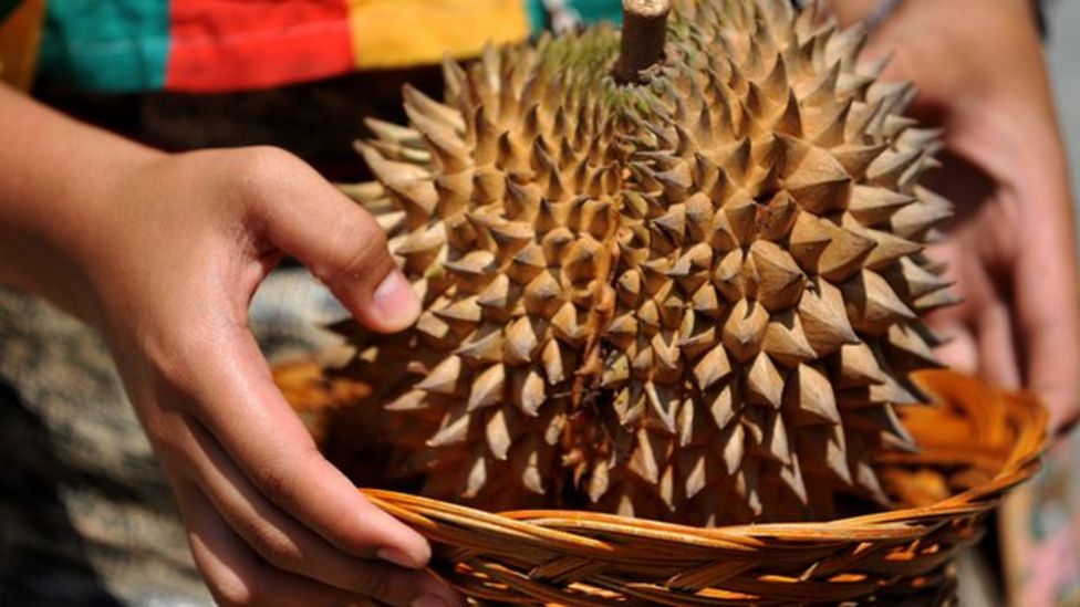 Newsround's pick of the world's smelliest things - BBC Newsround