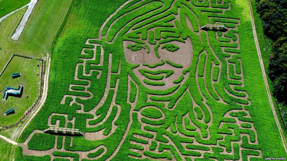 11 amazing mazes: Lion King, Doctor Who and more - BBC Newsround