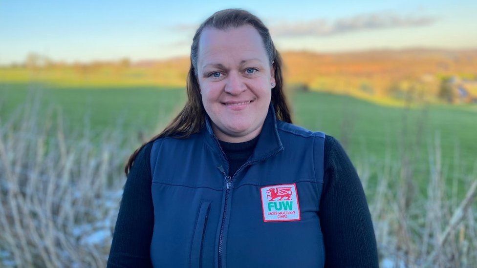 Iechyd meddwl: 'Sawl ffermwr yn cael amser caled' - BBC Cymru Fyw