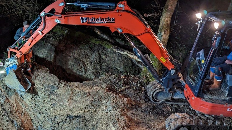 Leeds dog rescuers to be nominated for RSPCA award - BBC News