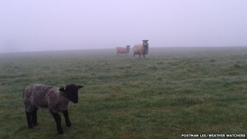 Gallery: One foggy Tuesday morning - BBC Weather