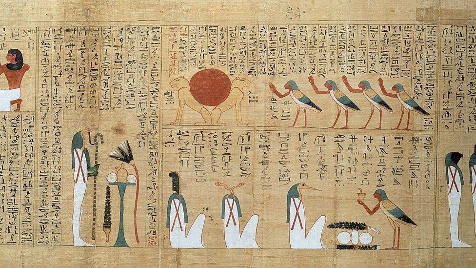 Ancient mummified pets found after thousands of years - BBC Newsround