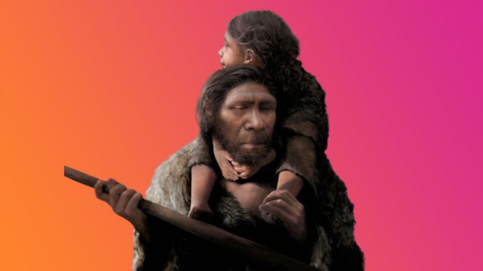 Neanderthals flatbread discovered in caves in Iraq - BBC Newsround