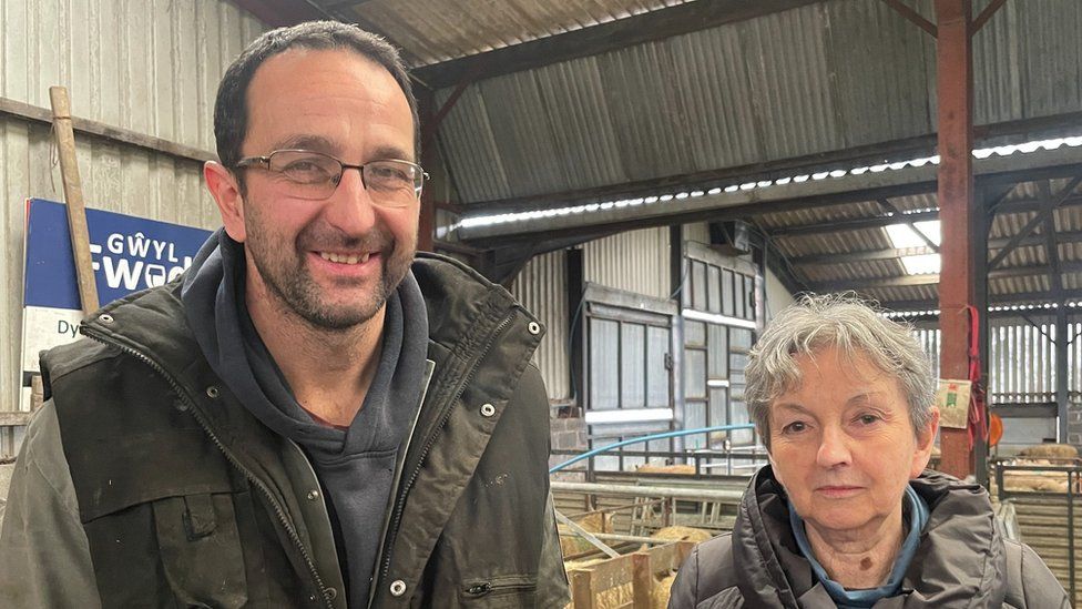 Cynllun peilonau yn 'sarnu lle bendigedig i fyw' - BBC Cymru Fyw