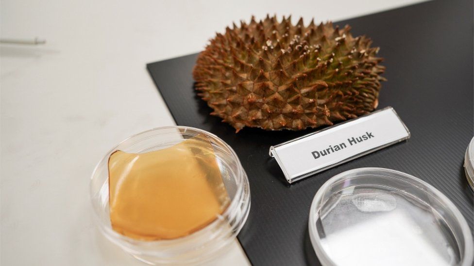Durian: Smelly fruit leftovers used to make bandages - BBC Newsround