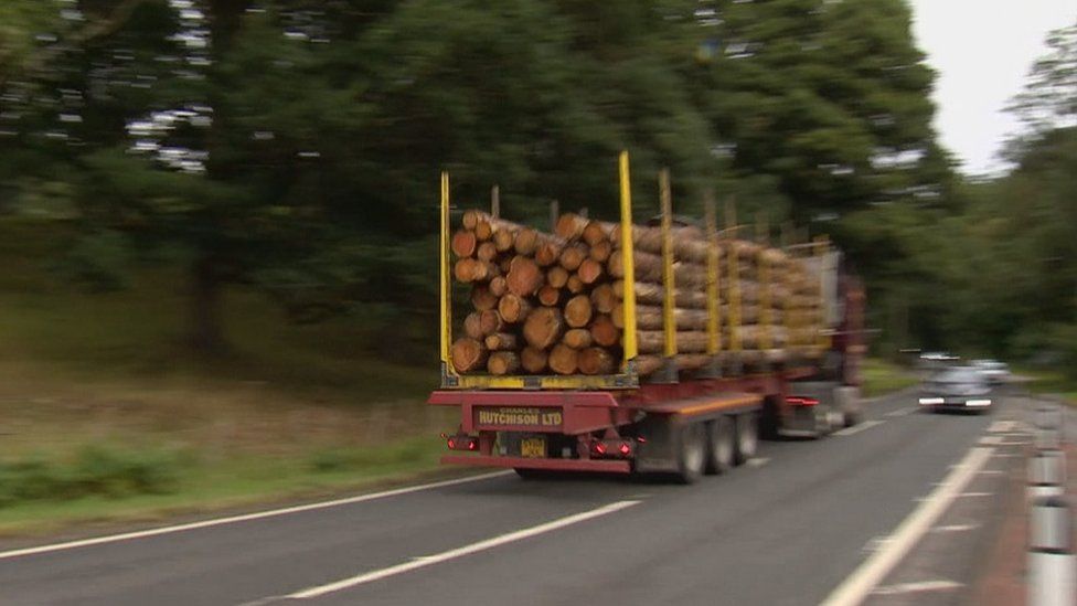 Timber moved by rail for first time in a decade - BBC News