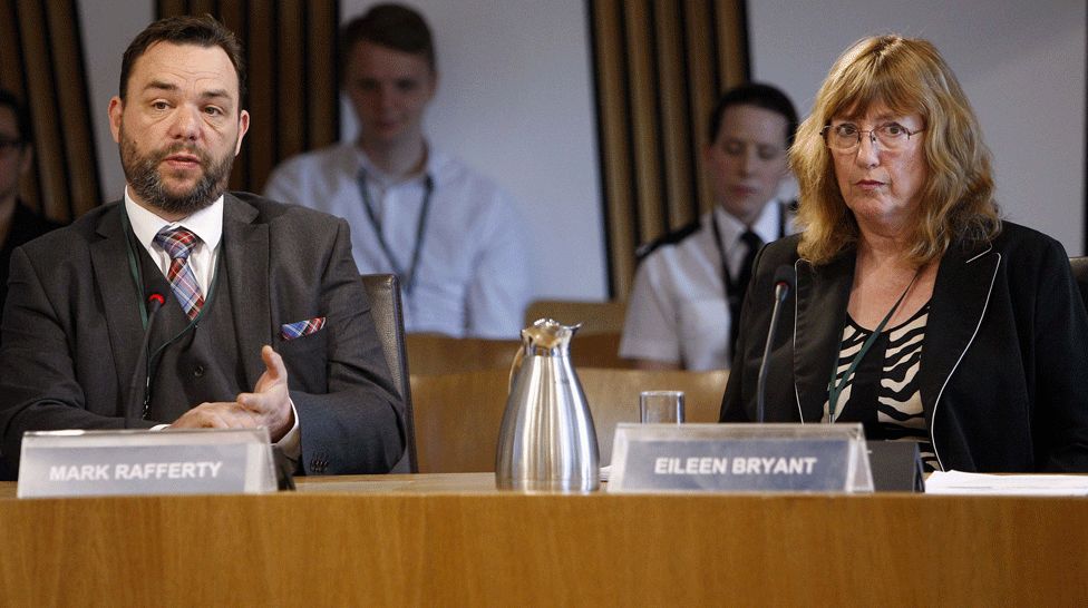 Appetite for designer dogs 'unquenchable', MSPs are told - BBC News