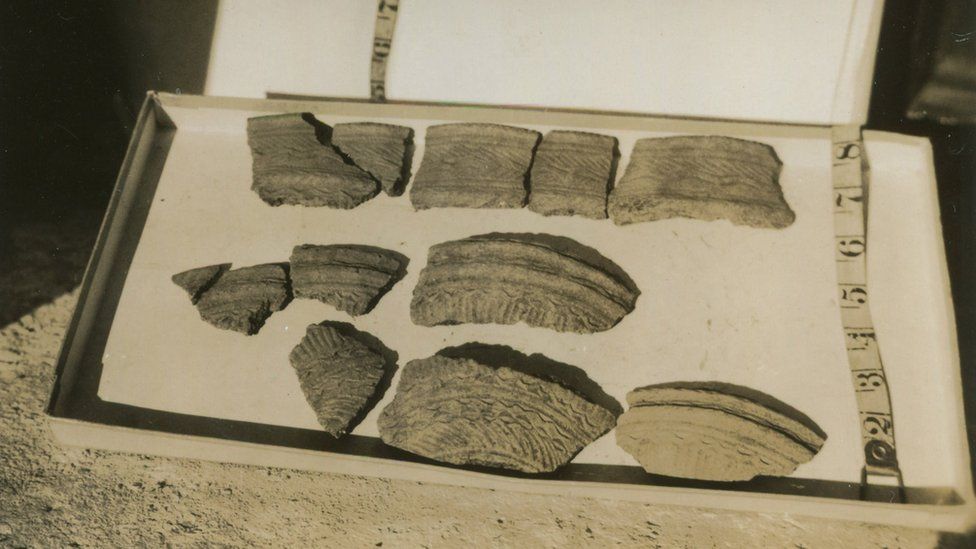 Mabel Remington Colhoun photo collection goes online - BBC News