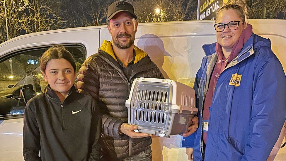 'Christmas miracle' as cat missing for nine years returns - BBC News