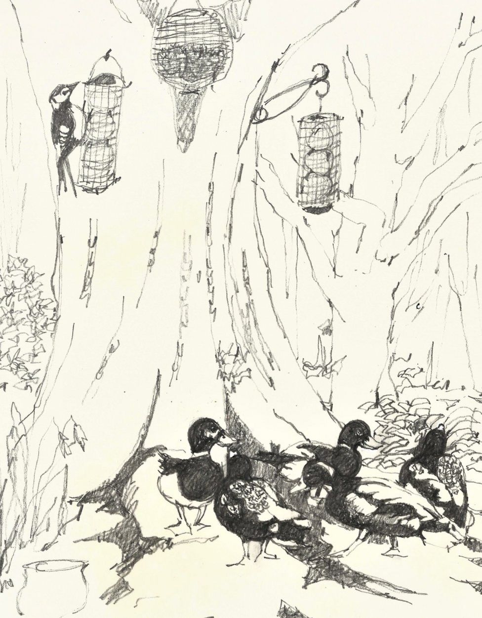 Coronavirus: Architect keeps lockdown sketchbook 'diary' - BBC News