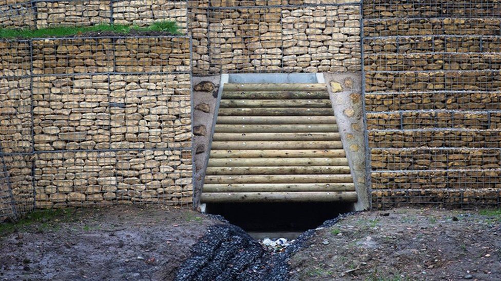 Witton Gilbert new flood basins 'safeguard 50 homes' - BBC News