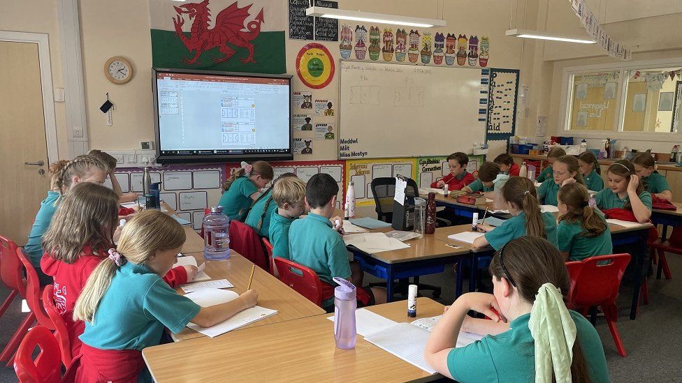 Cwricwlwm newydd: Rhai ysgolion 'ar ei hôl hi', medd pennaeth Estyn ...