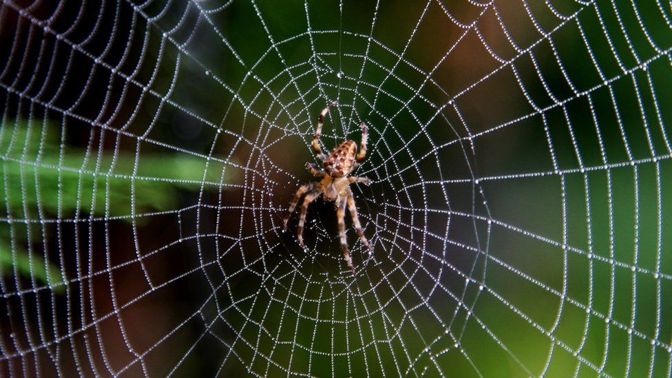 Newspaper headlines: Lords expenses 'scandal' and Brexit 'leaks' - BBC News