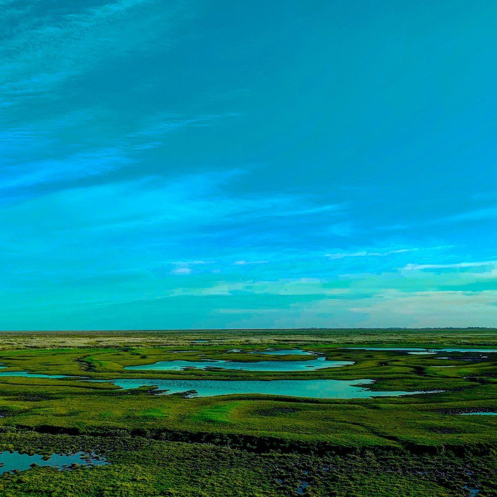 England's Big Picture: 23 - 29 November - BBC News