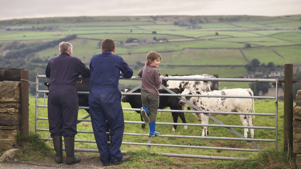Amaeth: 'Gwead cefn gwlad am ddioddef heb fwy o arian' - BBC Cymru Fyw
