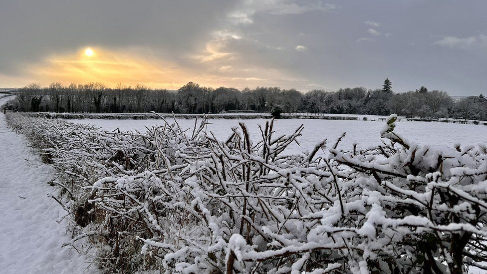 In pictures: Freezing weather hits Northern Ireland - BBC News