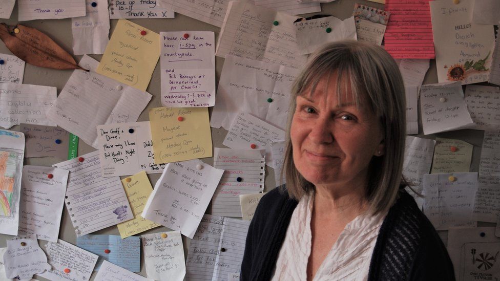 Hud siopau llyfrau yn rhoi gwên ar wyneb plant - BBC Cymru Fyw