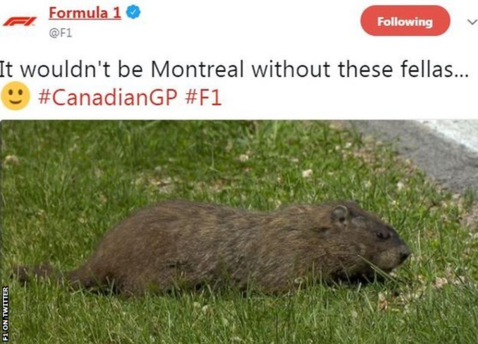 Canadian Grand Prix: Sebastian Vettel on pole, Lewis Hamilton fourth ...