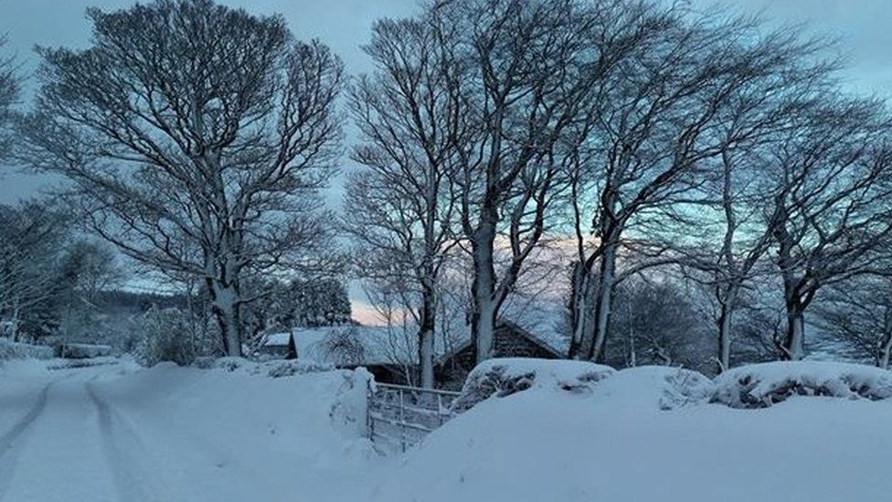 Snowy scenes from Northern Ireland - BBC News