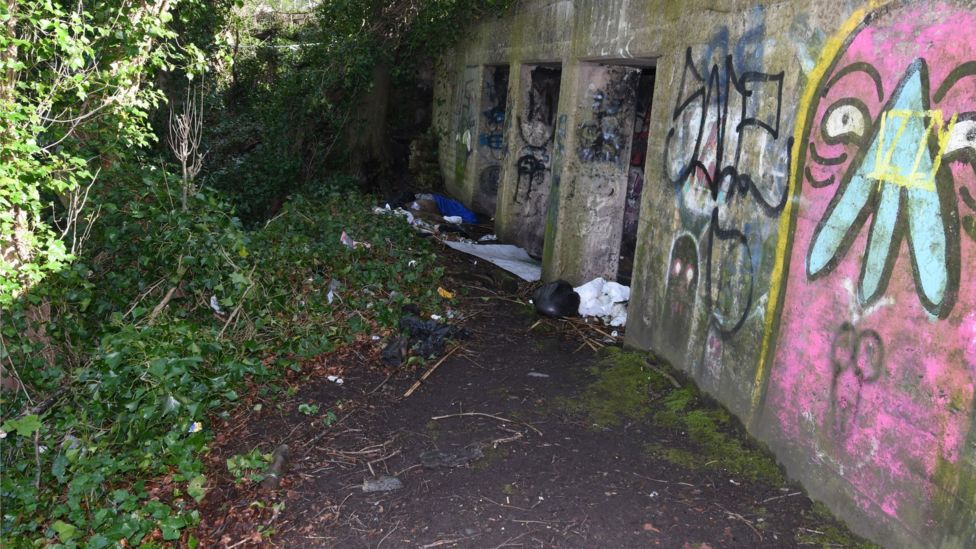 Torso inquiry: Murder detectives return to scene of remains discovery ...