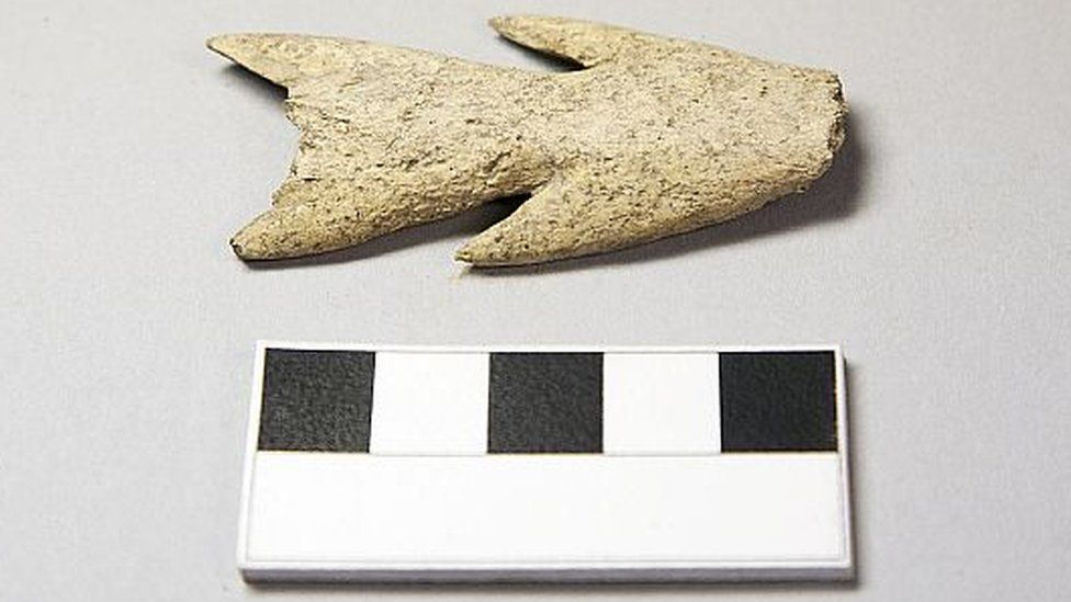 Pictish skeleton found at 1,400-year-old Highland cemetery - BBC News