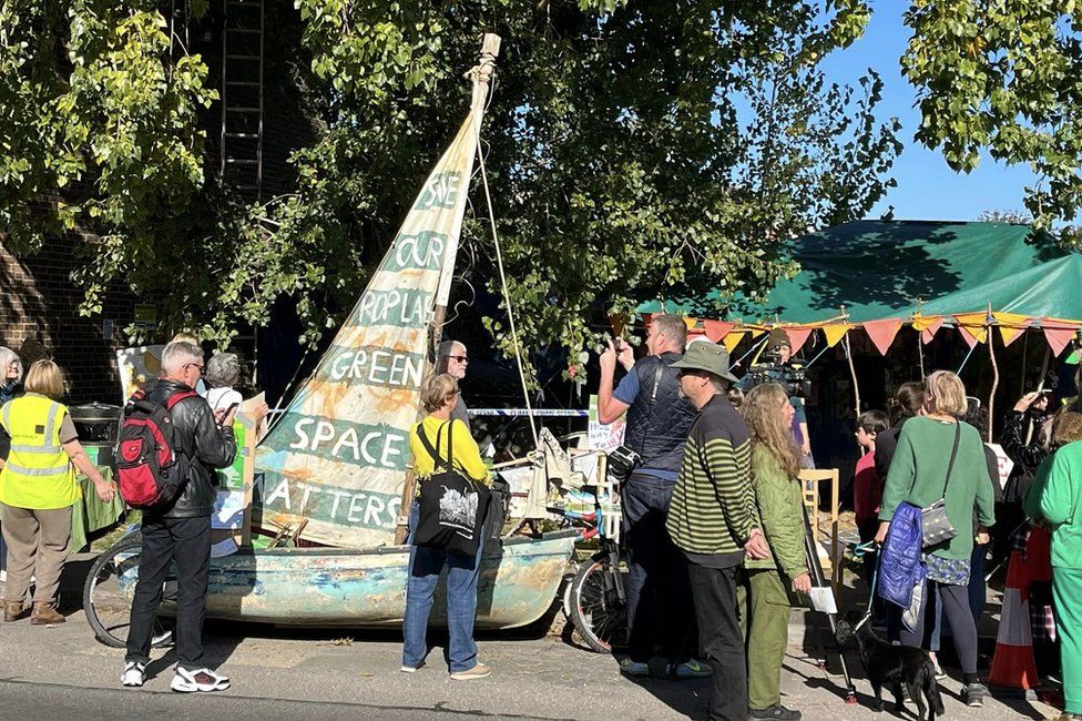 Sussex Poplar Front: Hundreds join tree protest festival - BBC News