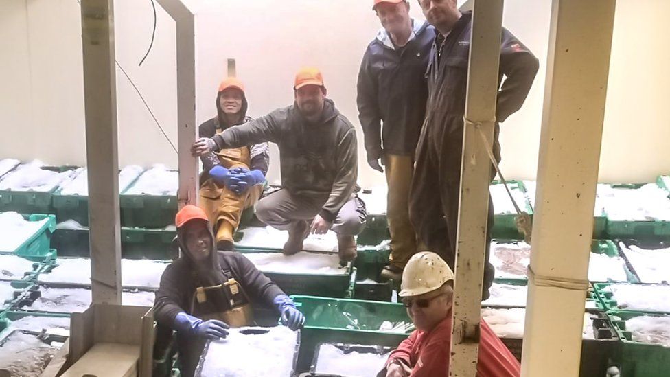 Newlyn fishing boat breaks record haul for port - BBC News