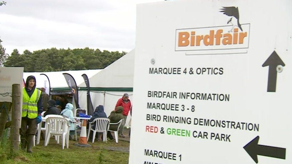 Bird fair to return to Rutland after cancellation - BBC News