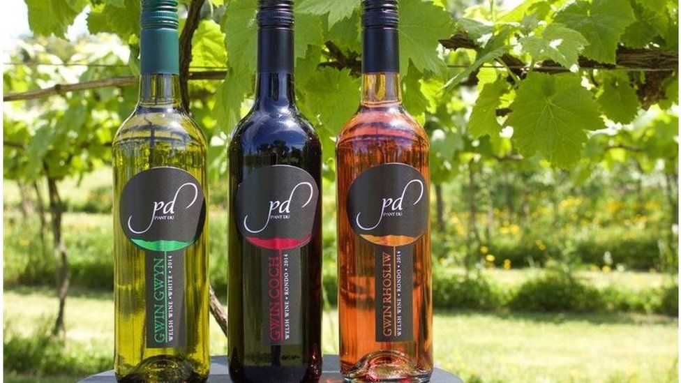 Canslo hysbyseb 'yn ergyd i'r diwydiant bwyd a diod' - BBC Cymru Fyw