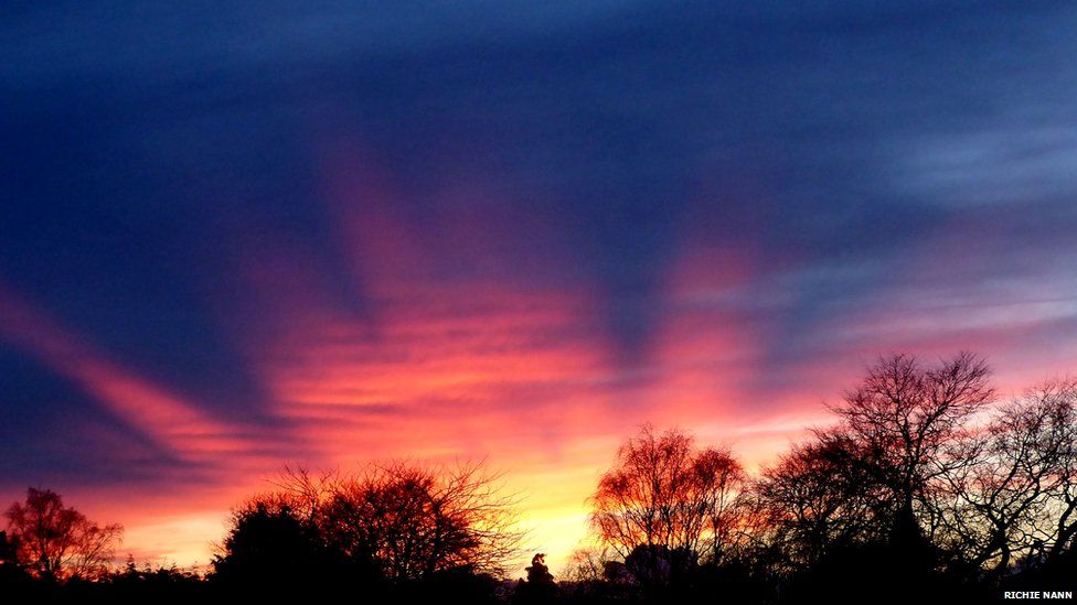 January UK photos - BBC Weather