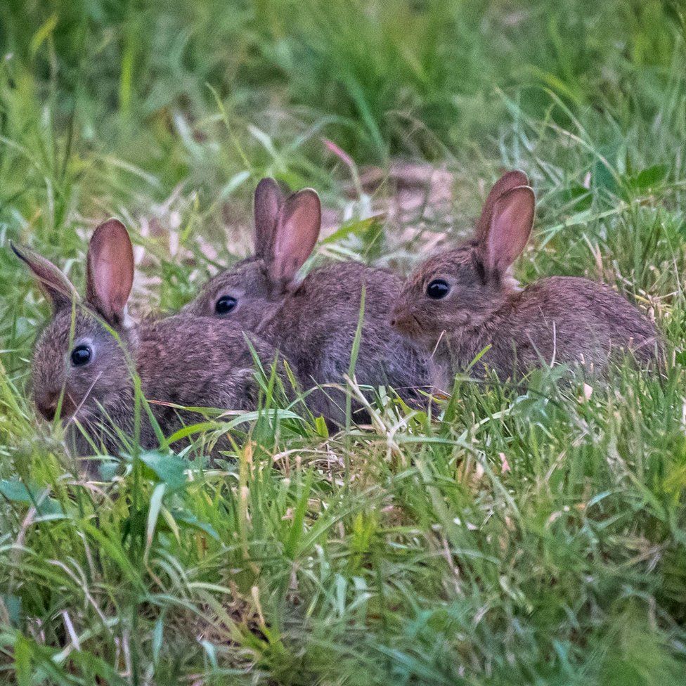 England's Big Picture: 17 - 23 August - BBC News