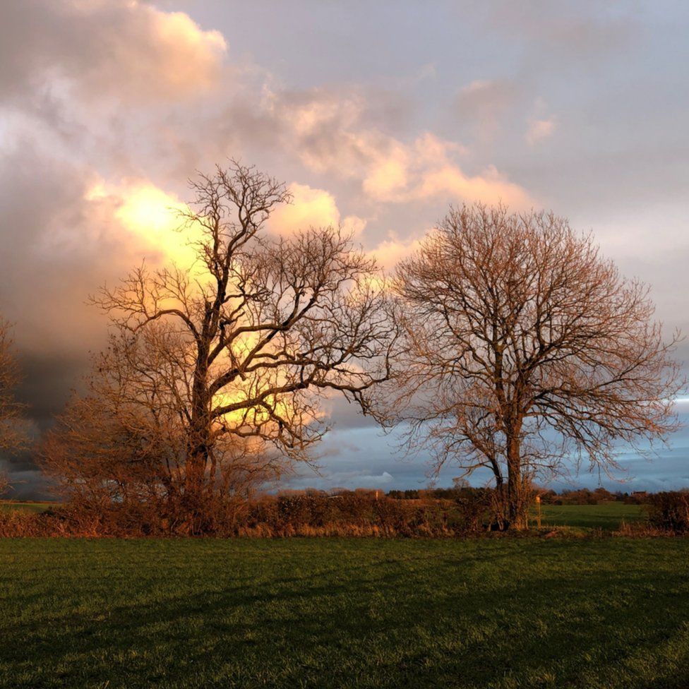 England's Big Picture: 23 - 29 November - BBC News