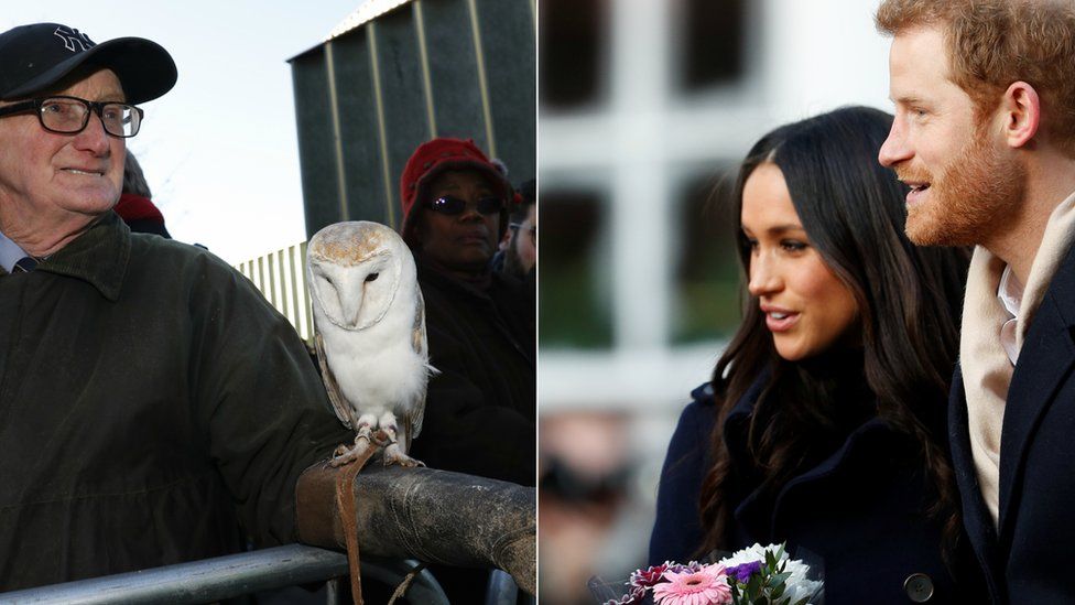 Prince Harry and Meghan wow in first royal visit together - BBC Newsround